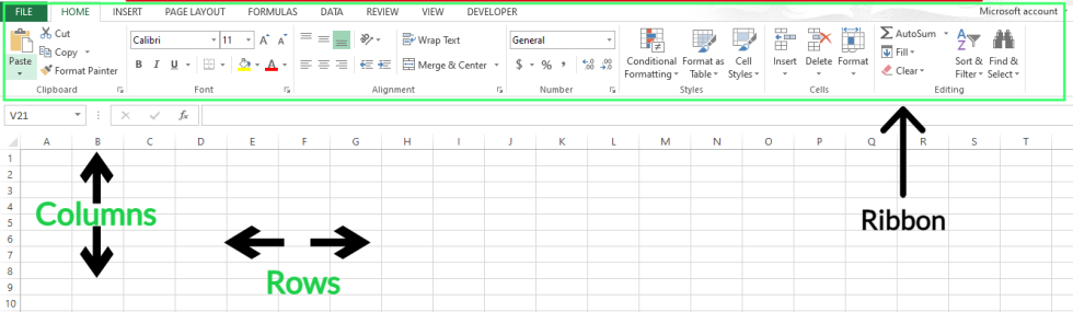 The Excel Interface and formatting | NSCVCE